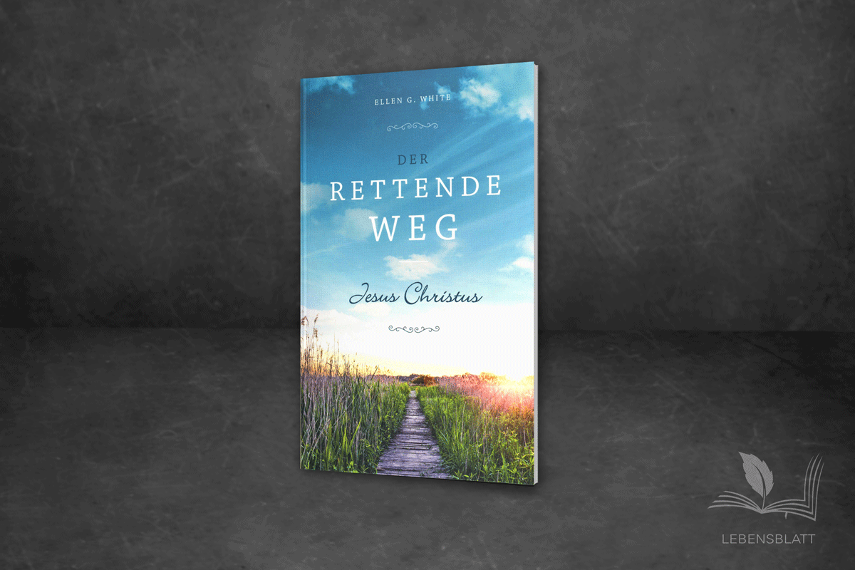 Der rettende Weg I Buch, 3,00